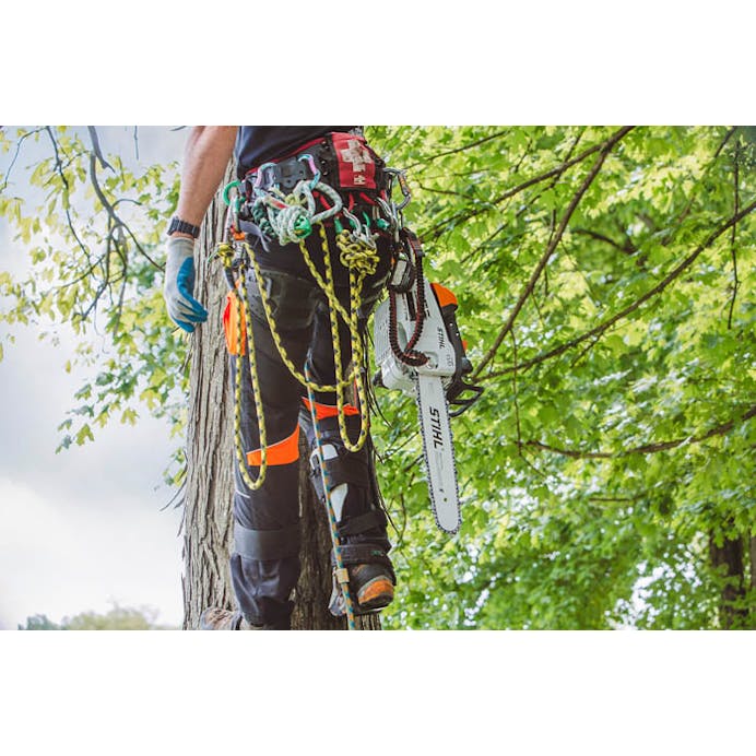 STIHL MS 201 T C-M - Butler County Equipment