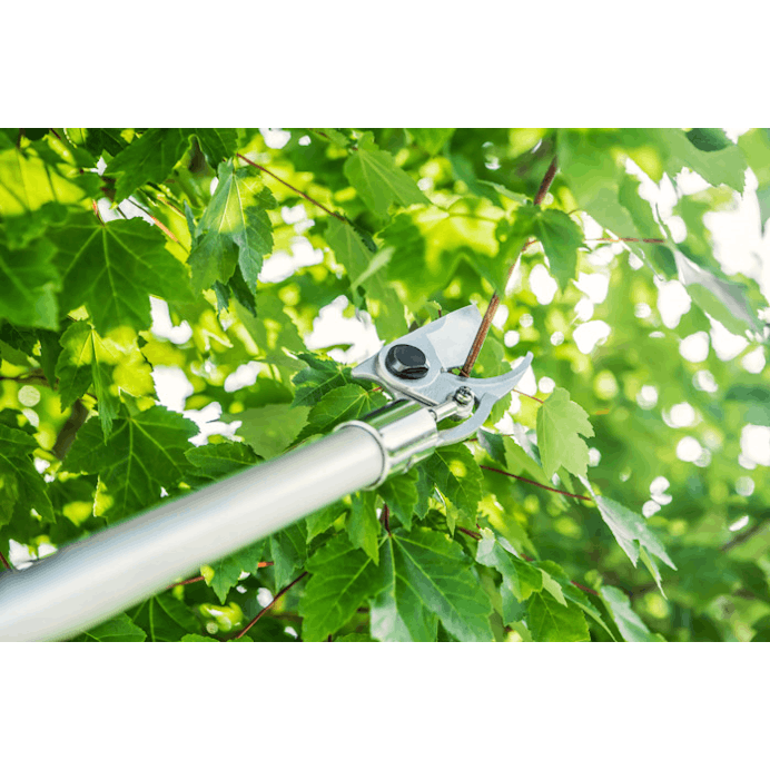 STIHL PP 101 Long Reach Pruner - Butler County Equipment