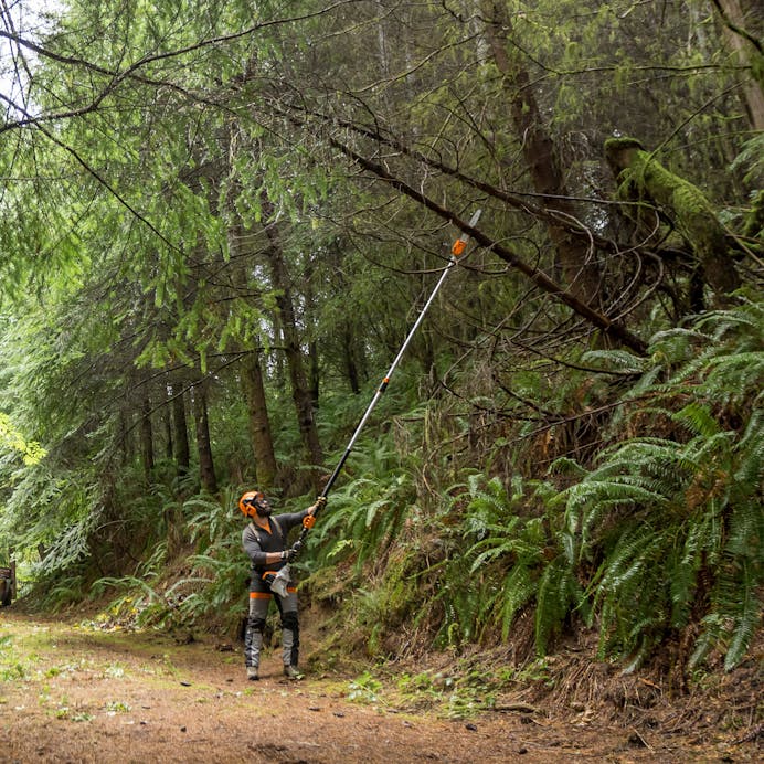 STIHL HT 135 - Butler County Equipment